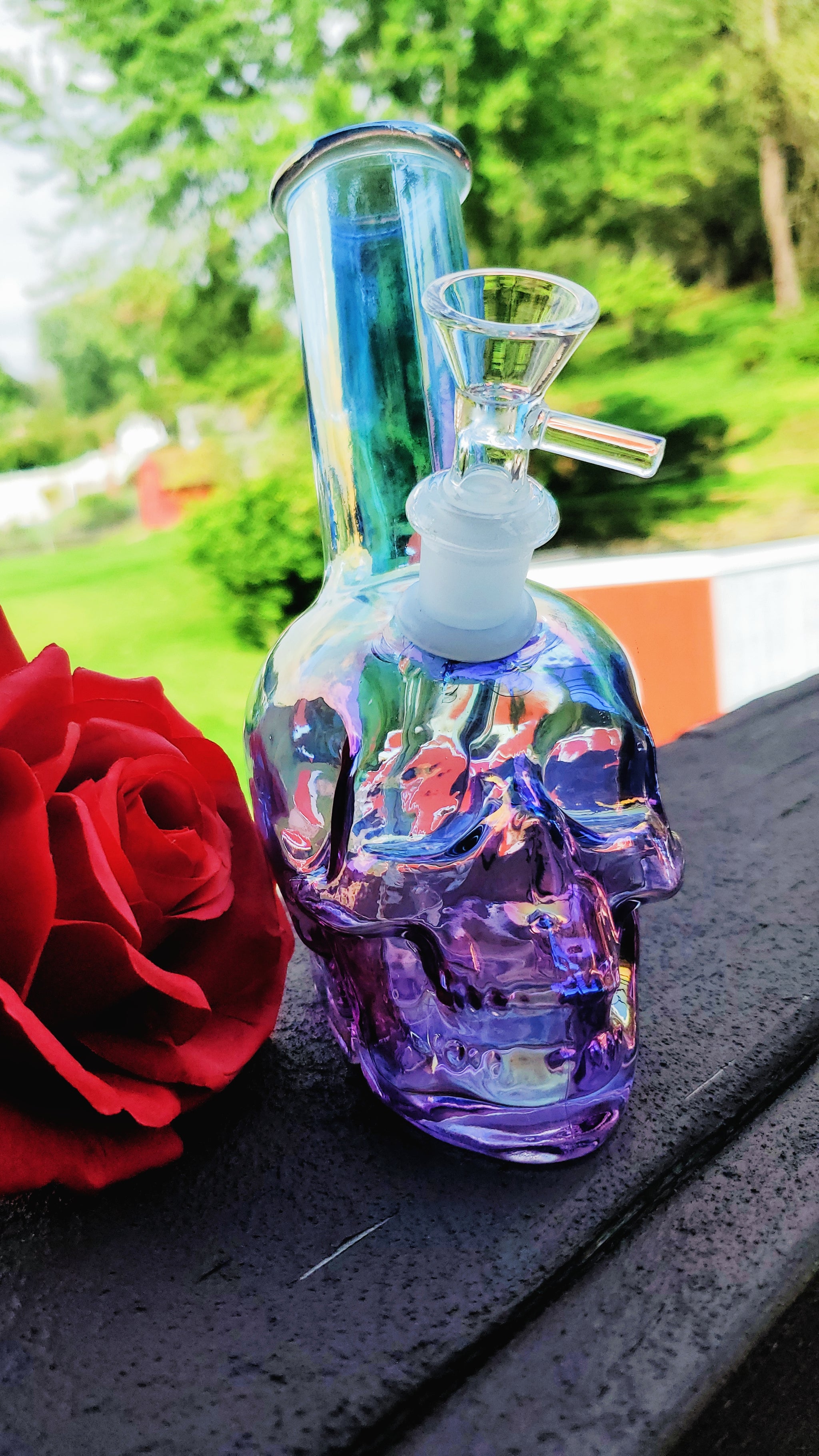 Iridescent Skull Water Pipe – AshstoAsh